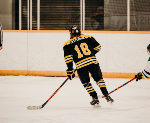 Nanton Minor Hockey – Nanton Minor Hockey